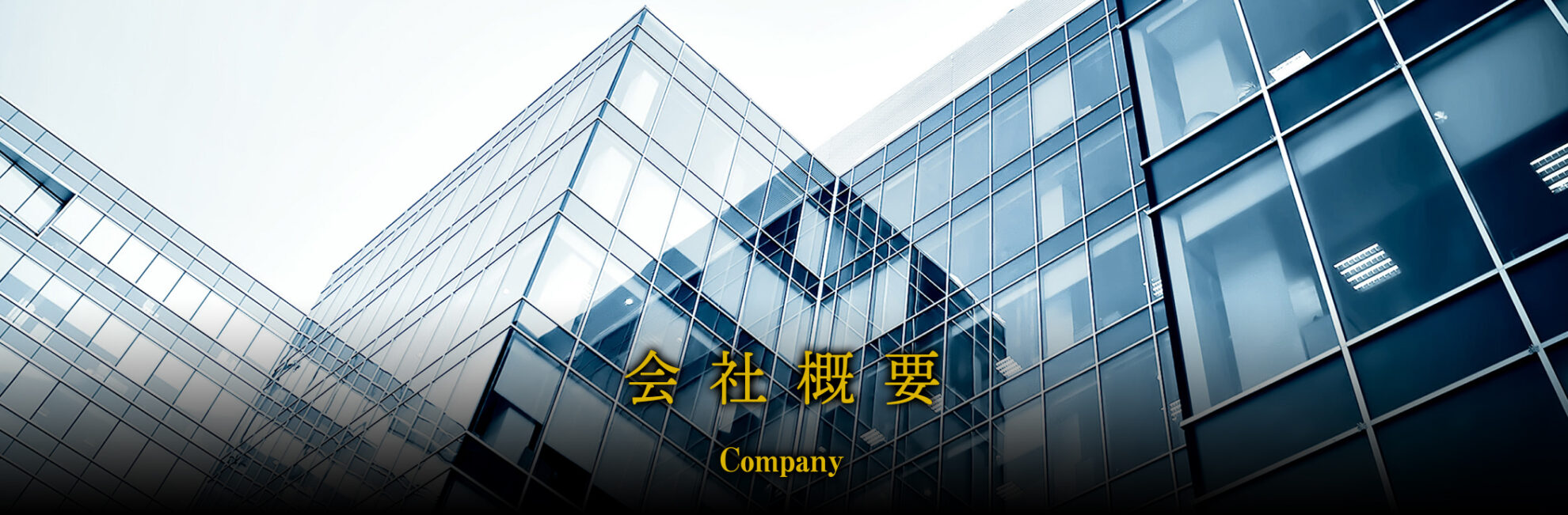 会社概要 - 【公式】TAD Group（ティーエーディーグループ）